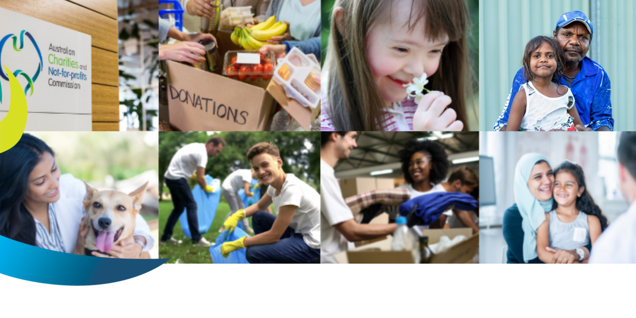 ACNC Culture Plan | ACNC